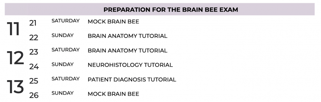 Offline Introductory Brain Bee Camp | Biolympiads