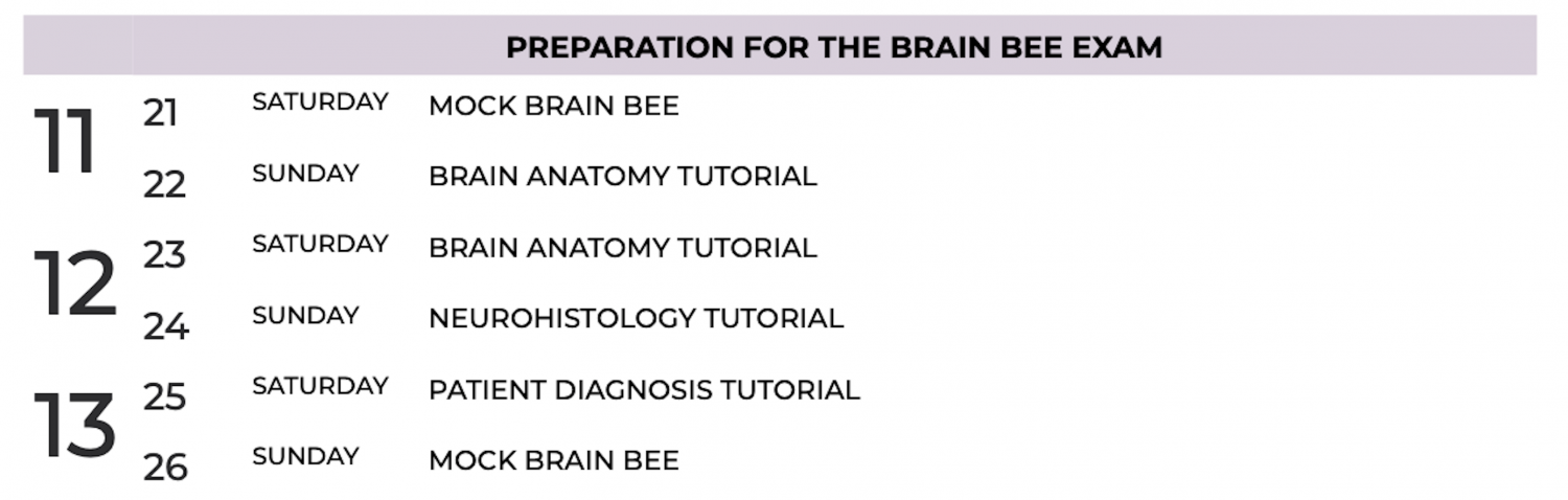 Offline Introductory Brain Bee Camp | Biolympiads