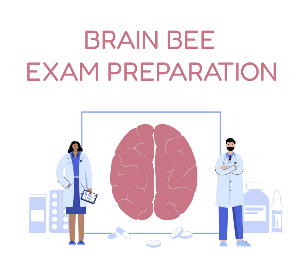Preparation for the Brain Bee Exam | Biolympiads