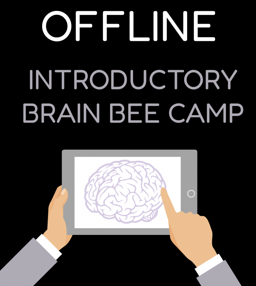 Offline Introductory Brain Bee Camp | Biolympiads Academy